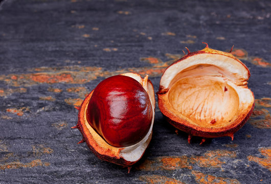 "Chestnut Shell" Images – Browse 99 Stock Photos, Vectors, and Video ...