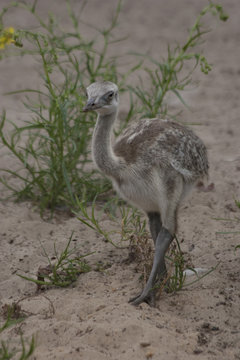 Loopt bilder – Bläddra bland 36 stockfoton, vektorer och videor | Adobe ...