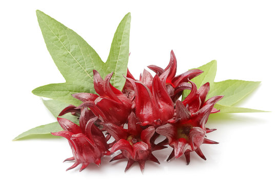 Bissap - Images et vidéos libres de droits | Adobe Stock