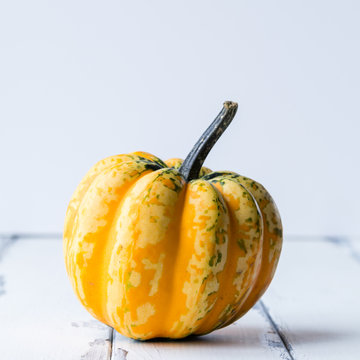 Pumpa Images – Browse 39 Stock Photos, Vectors, and Video | Adobe Stock