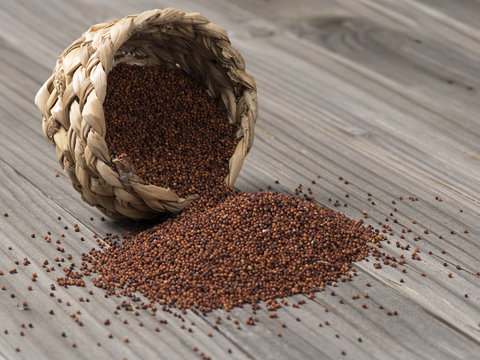 「Ragi」の画像 - 2,451 件の Stock 写真、ベクターおよびビデオ | Adobe Stock