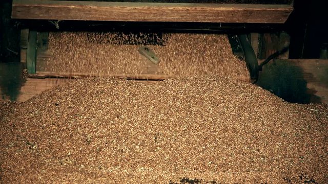 Hafermotor Bilder – Durchsuchen 297 Archivfotos, Vektorgrafiken und ...