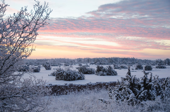 Winterland Images – Parcourir 2,717 le catalogue de photos, vecteurs et ...