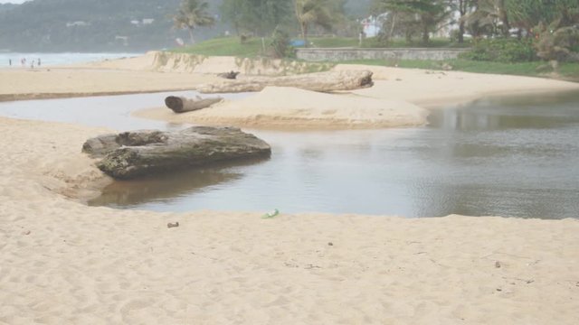 Nias Images – Browse 720 Stock Photos, Vectors, and Video | Adobe Stock