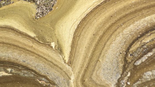 Scum Images – Browse 9,198 Stock Photos, Vectors, and Video | Adobe Stock