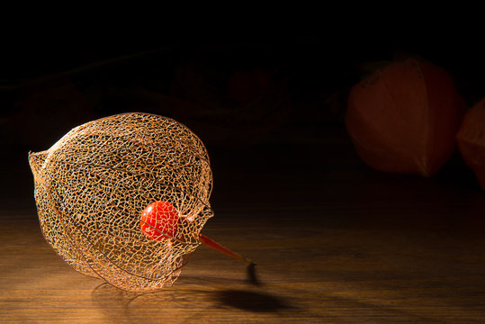 รูปภาพPlanze – เลือกดูภาพถ่ายสต็อก เวกเตอร์ และวิดีโอ1,579 | Adobe Stock