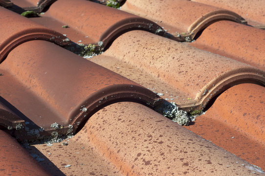 Tuilage Bilder – Durchsuchen 11 Archivfotos, Vektorgrafiken und Videos ...