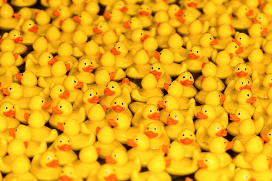 รูปภาพ"Platik – เลือกดูภาพถ่ายสต็อก เวกเตอร์ และวิดีโอ178 | Adobe Stock