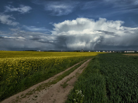 「Cumulon」の写真素材 | 95件の無料イラスト画像 | Adobe Stock