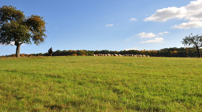 Schafhirt bilder – Bläddra bland 57 stockfoton, vektorer och videor ...