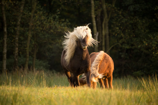 「Windfarben」の画像 - 107 件の Stock 写真、ベクターおよびビデオ | Adobe Stock