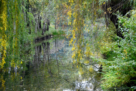 รูปภาพBiotop – เลือกดูภาพถ่ายสต็อก เวกเตอร์ และวิดีโอ17,188 | Adobe Stock