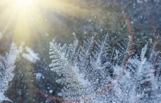 Rime Images – Browse 2,978,547 Stock Photos, Vectors, and Video | Adobe ...