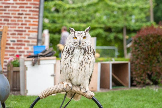 รูปภาพOehoe – เลือกดูภาพถ่ายสต็อก เวกเตอร์ และวิดีโอ152 | Adobe Stock