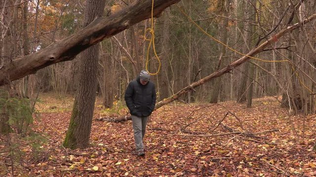 Gallows Bilder – Durchsuchen 10,295 Archivfotos, Vektorgrafiken und ...