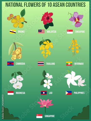 National Flowers Of 10 Asean Countries | Best Flower Site