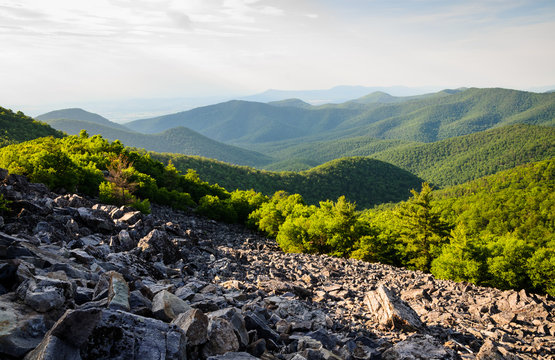 รูปภาพPiedmont – เลือกดูภาพถ่ายสต็อก เวกเตอร์ และวิดีโอ67,254 | Adobe Stock