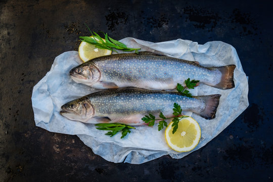 Saiblinge Bilder – Durchsuchen 65,628 Archivfotos, Vektorgrafiken und ...