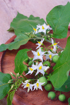 Susumber Images – Browse 123 Stock Photos, Vectors, and Video | Adobe Stock