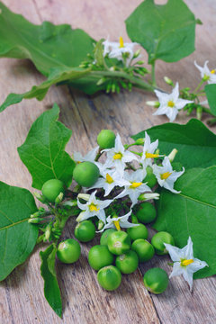 Susumber Images – Browse 123 Stock Photos, Vectors, and Video | Adobe Stock