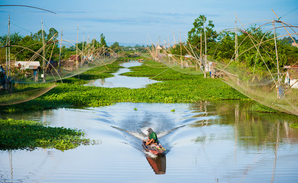 Chot photos, images, assets | Adobe Stock