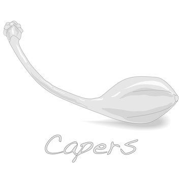 รูปภาพKapers – เลือกดูภาพถ่ายสต็อก เวกเตอร์ และวิดีโอ405 | Adobe Stock