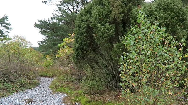 Neu-Mukran 影像 – 瀏覽 36 個素材庫相片、向量圖和影片 | Adobe Stock