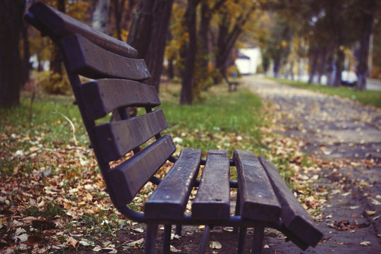 Imágenes de Banch: descubre bancos de fotos, ilustraciones, vectores y ...