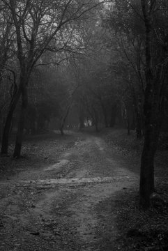 Lugubre Bilder – Durchsuchen 963 Archivfotos, Vektorgrafiken und Videos ...