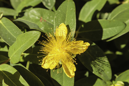 รูปภาพFortificatie – เลือกดูภาพถ่ายสต็อก เวกเตอร์ และวิดีโอ173 | Adobe ...