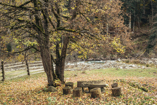 Zakan Bilder – Durchsuchen 135 Archivfotos, Vektorgrafiken und Videos ...