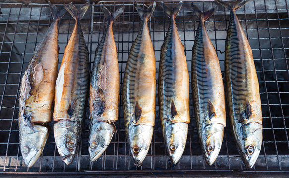 Skumbria Images – Browse 6 Stock Photos, Vectors, and Video | Adobe Stock