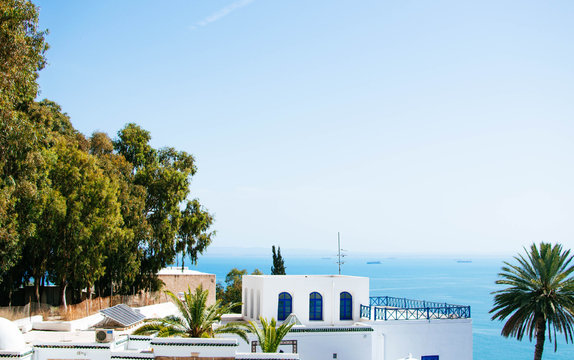 รูปภาพBuja – เลือกดูภาพถ่ายสต็อก เวกเตอร์ และวิดีโอ226 | Adobe Stock