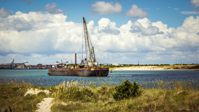 Scrounging Images – Browse 7,545 Stock Photos, Vectors, and Video ...