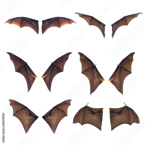 "Set of Bat wings isolated on white background" Stock photo and royalty ...