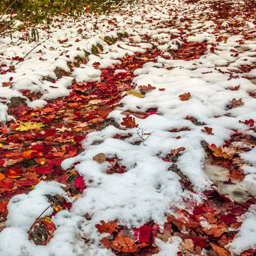 รูปภาพSchneeschauer – เลือกดูภาพถ่ายสต็อก เวกเตอร์ และวิดีโอ297 | Adobe ...