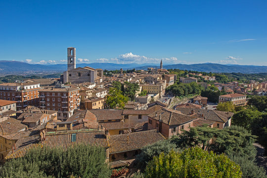 รูปภาพ"Dini – เลือกดูภาพถ่ายสต็อก เวกเตอร์ และวิดีโอ1,093 | Adobe Stock