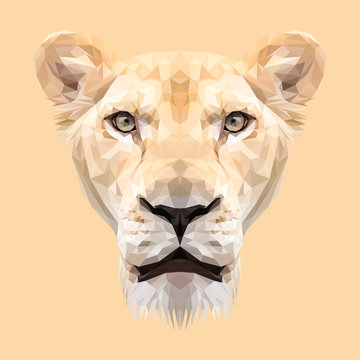 Female Lion Logo Images – Parcourir 642 le catalogue de photos ...