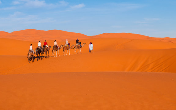 Karawane bilder – Bläddra bland 1,734 stockfoton, vektorer och videor ...