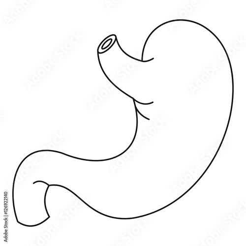 "Stomach icon. Outline illustration of stomach vector icon for web ...