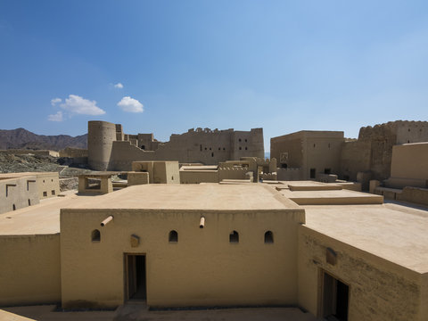 Imágenes de Bahal: descubre bancos de fotos, ilustraciones, vectores y ...