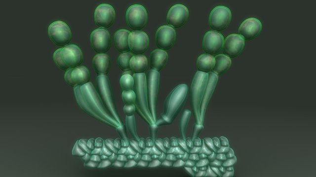 Albugo Images – Browse 14 Stock Photos, Vectors, and Video | Adobe Stock