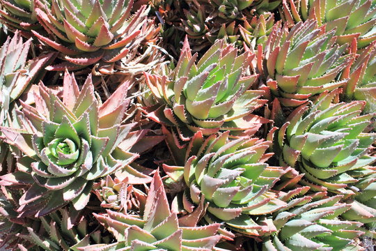 Bequadro 画像 - 参照 274 Stock 写真、ベクターおよびビデオ | Adobe Stock