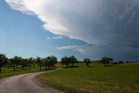 「Streuwiese」の画像 - 102 件の Stock 写真、ベクターおよびビデオ | Adobe Stock