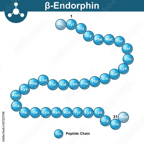 "Beta endorphin molecular formula" Stock image and royalty-free vector ...
