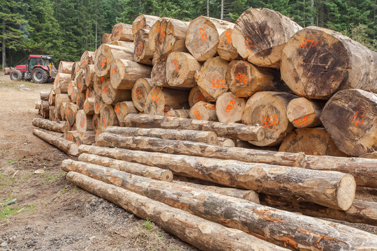 Grume - Images et vidéos libres de droits | Adobe Stock