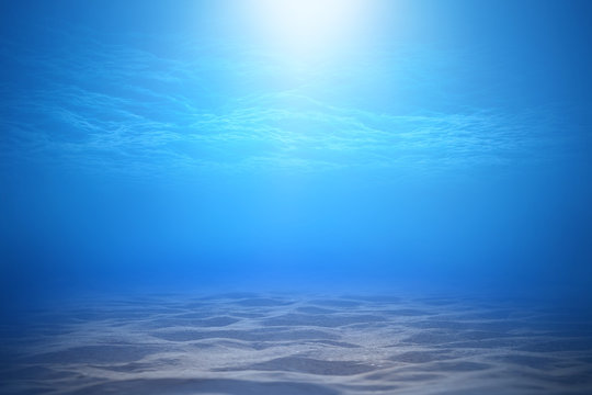 Free Ocean Images – Browse 27,977 Free Stock Photos, Vectors, and Video ...