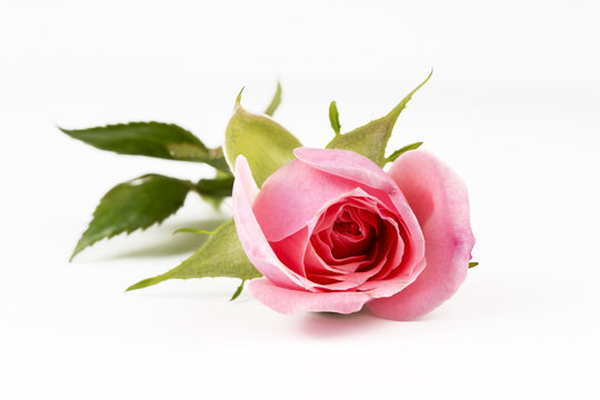 "Beyaz Fon" Billeder – Gennemse 5,960 stockfotos, vektorer og videoer ...