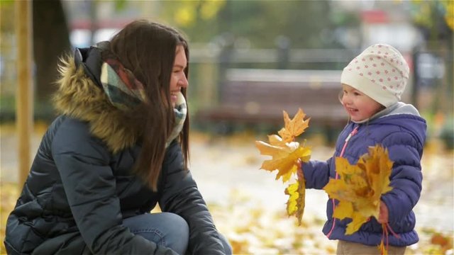 "Throwing Leaves" Images – Browse 326 Stock Photos, Vectors, and Video ...