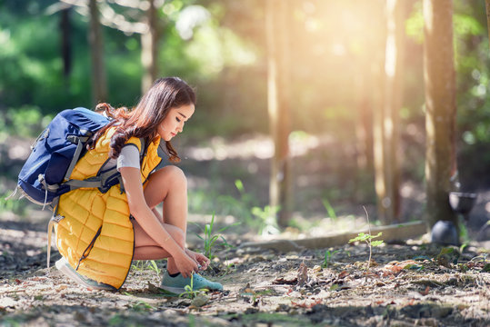 Shae Images – Browse 47 Stock Photos, Vectors, and Video | Adobe Stock